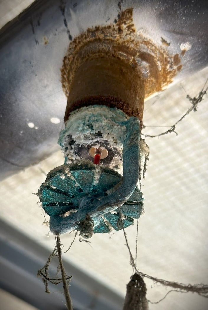 Fire Sprinkler Corrosion: Warning Signs and Prevention Tips